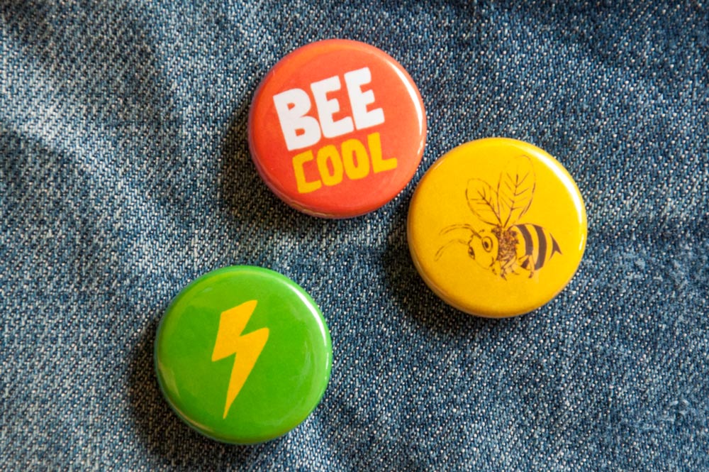 Bee Cool! | Gawcott Fields Community Solar